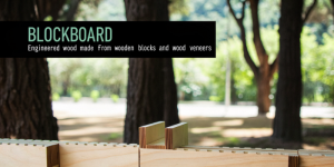 Blockboard Properties, Uses & Advantages You Need to Know